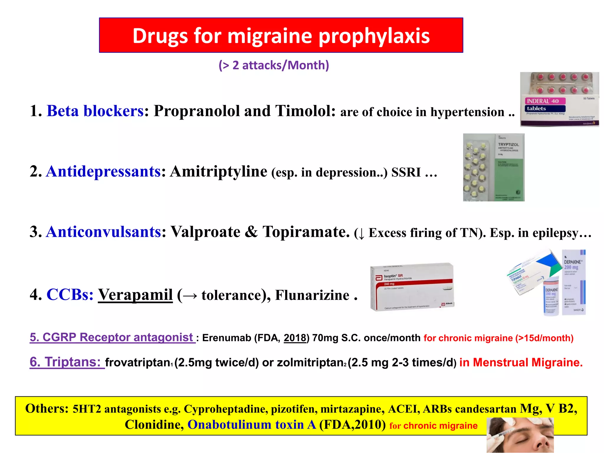 Pathophysiology and Drug Therapy of Migraine | PDF
