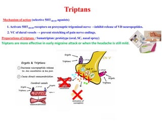 Pathophysiology and Drug Therapy of Migraine | PDF
