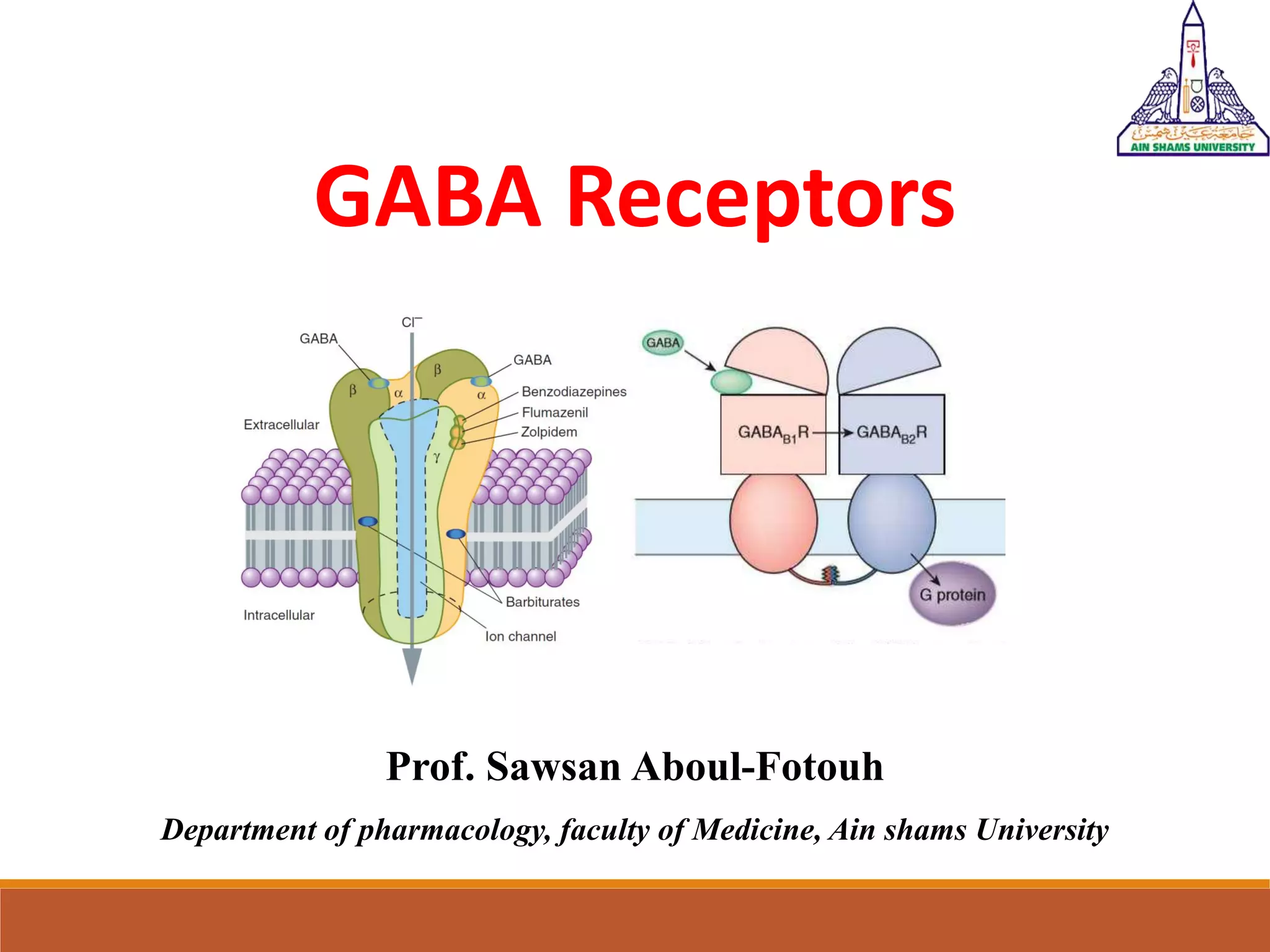 GABA Receptors | PDF