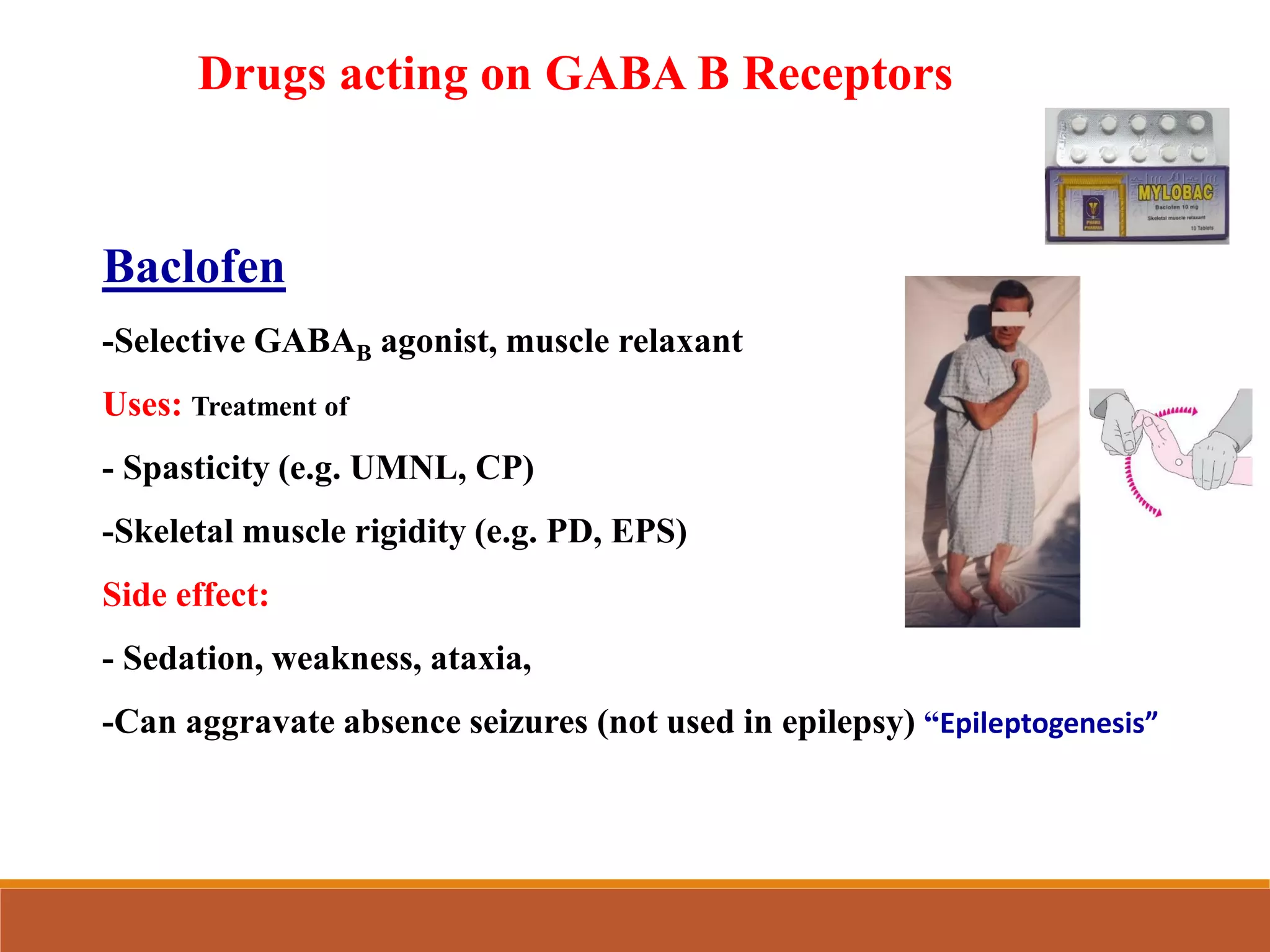 GABA Receptors | PDF