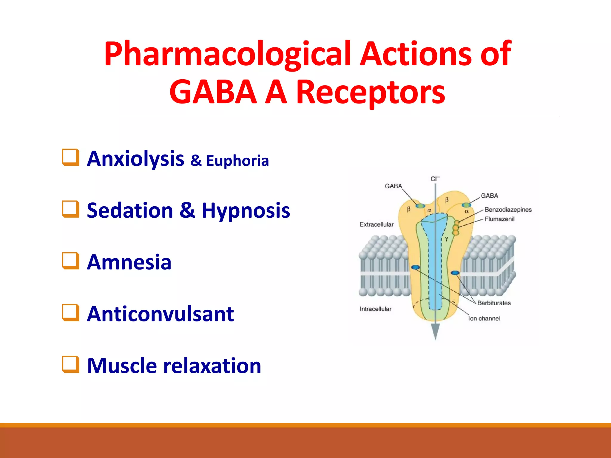 GABA Receptors | PDF