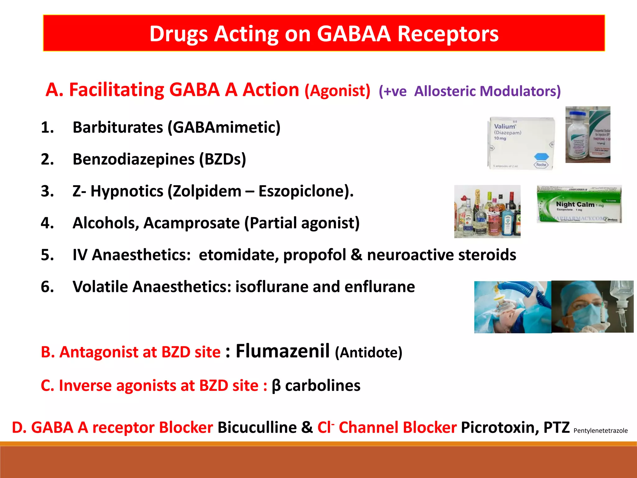 GABA Receptors | PDF