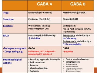 GABA Receptors | PDF
