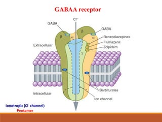 GABA Receptors | PDF