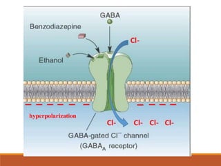 GABA Receptors | PDF