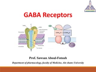 GABA Receptors | PPT