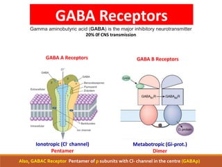 Gaba Receptor