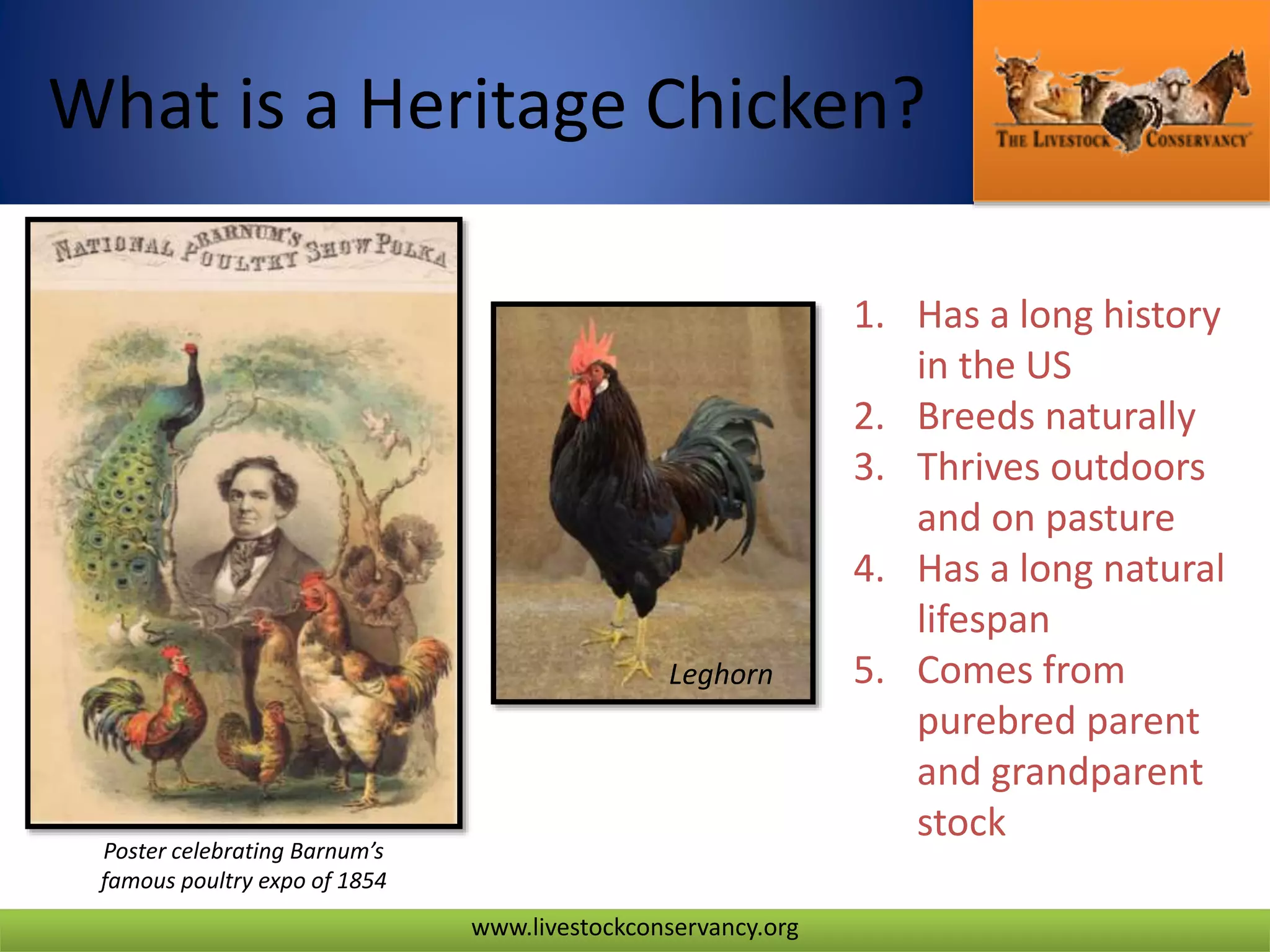 Heritage Poultry The Livestock Conservancy | PPTX