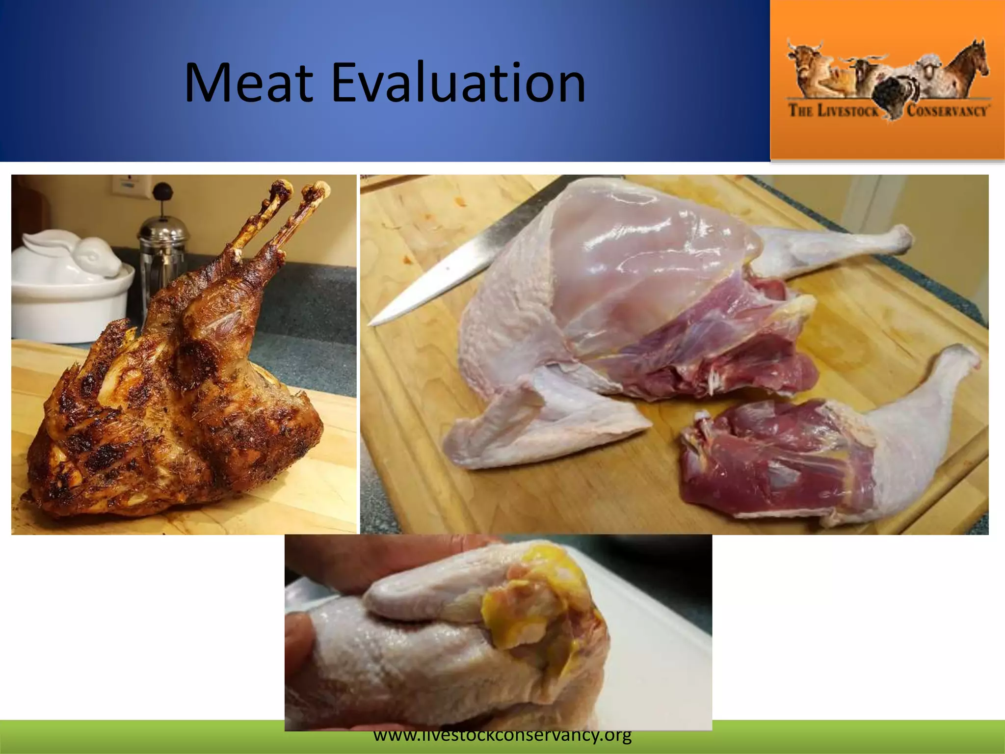 Heritage Poultry The Livestock Conservancy | PPTX