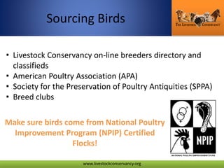 Heritage Poultry The Livestock Conservancy | PPTX