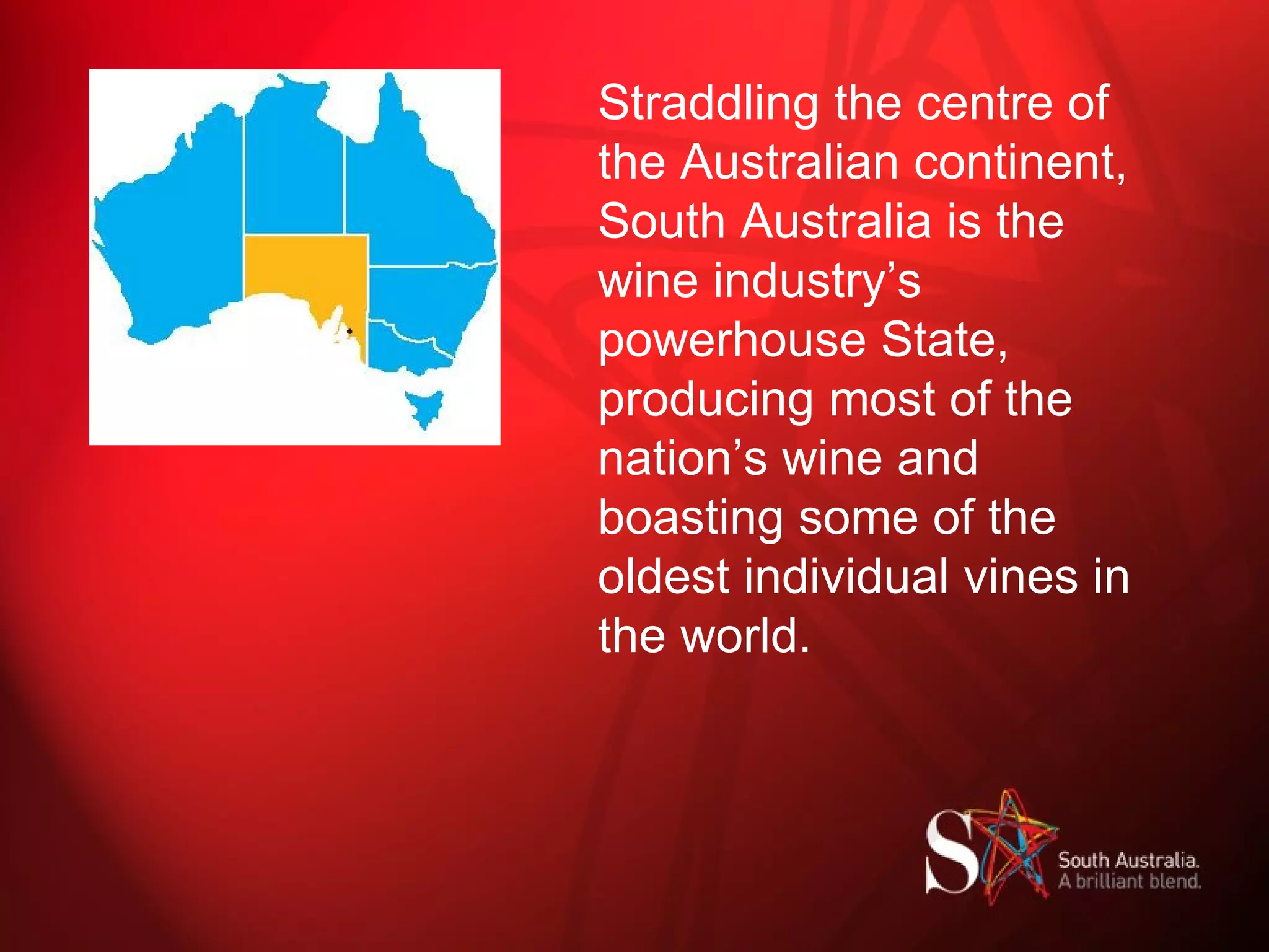 South Australian Wine Summary | PPT
