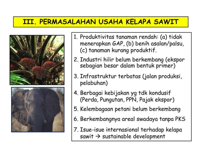 SAWIT rspo KEBIJAKAN PEMBANGUNAN PERKEBUNAN | PPT