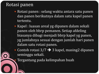 SAWIT NEW 3.ppt