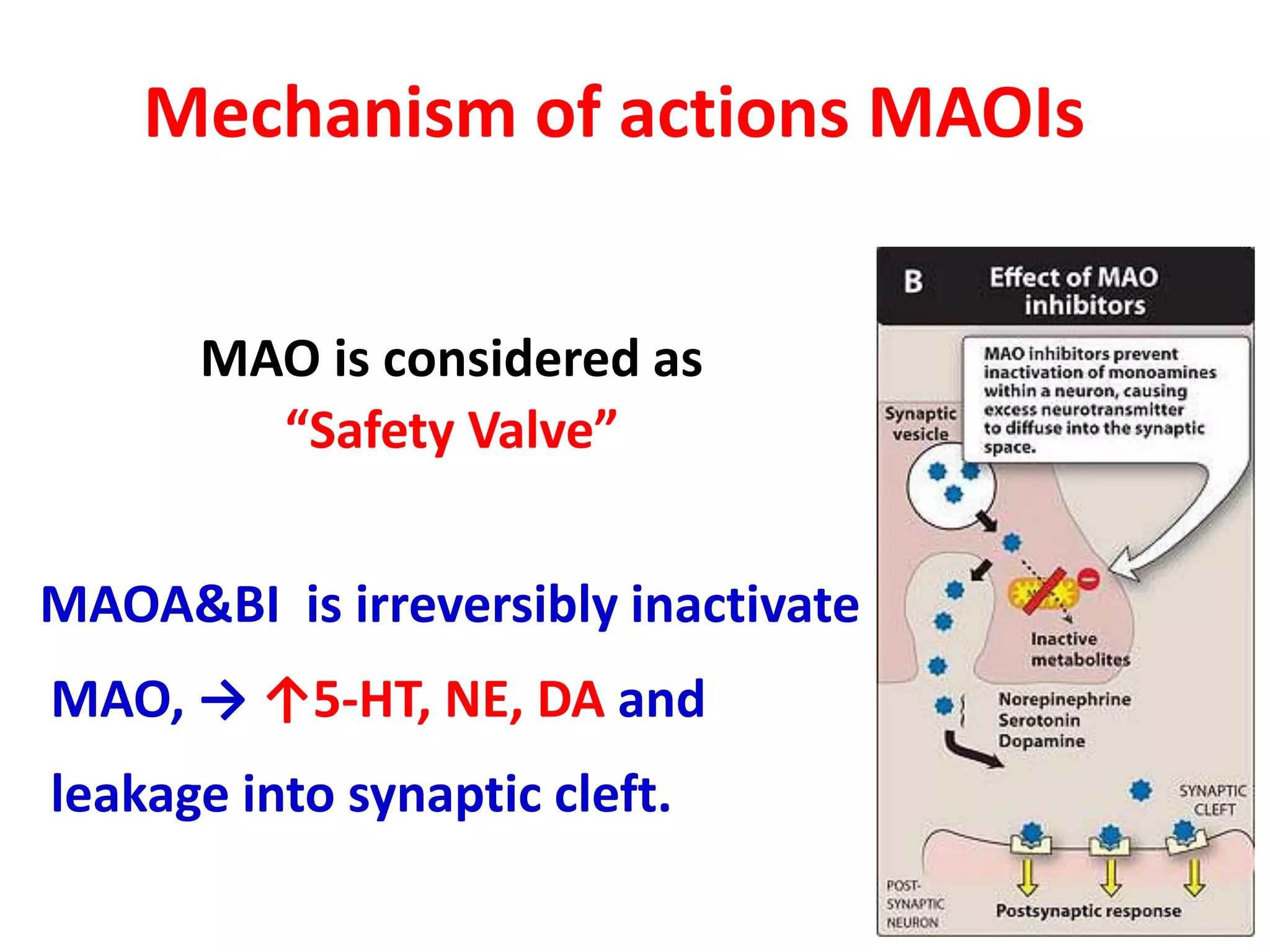 Monoamine Oxidase Inhibitors (MAOIs) | PDF