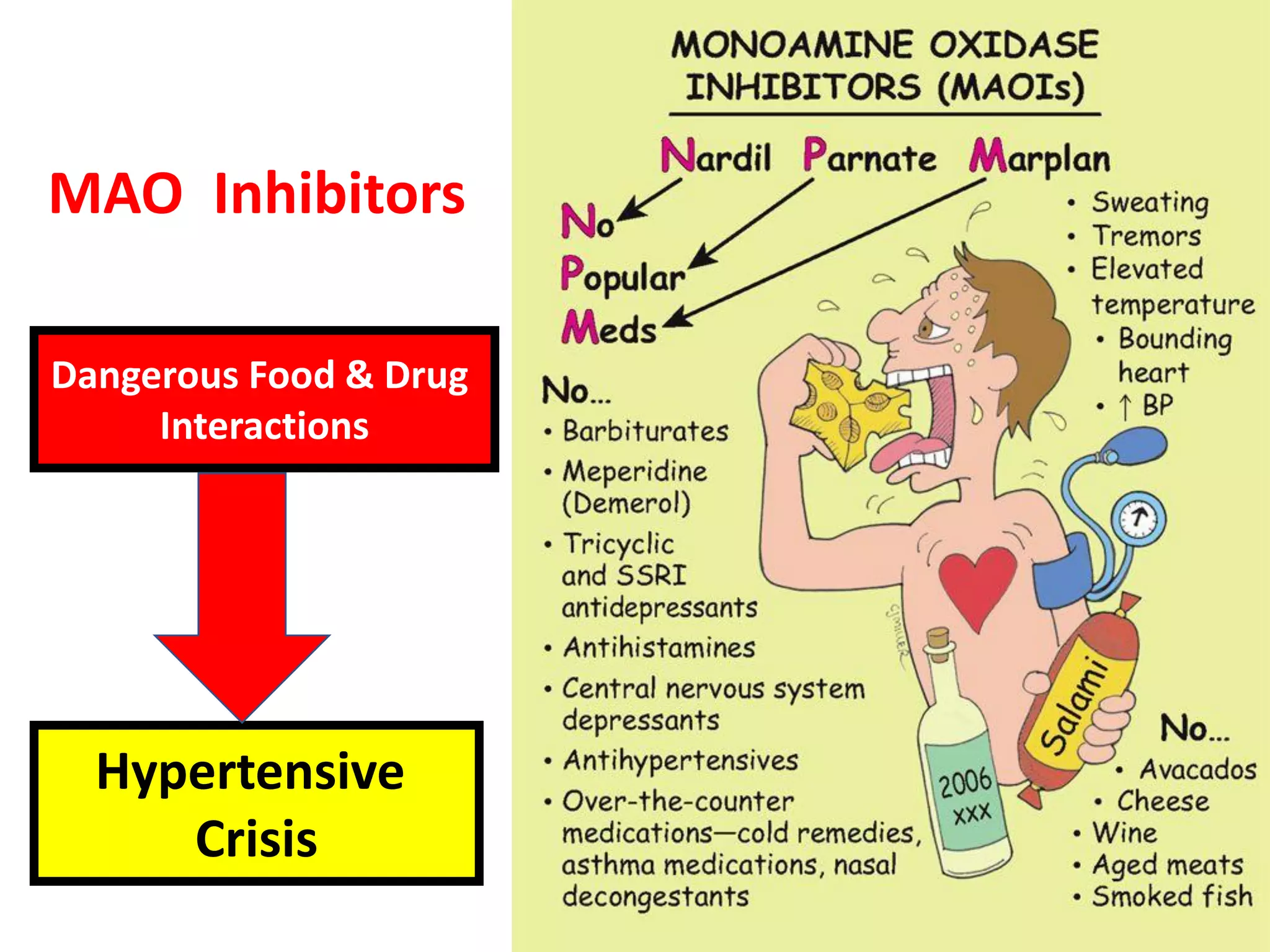 Monoamine Oxidase Inhibitors (MAOIs) | PDF