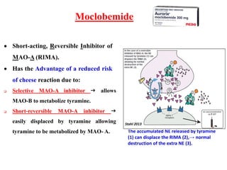 Monoamine Oxidase Inhibitors (MAOIs) | PDF