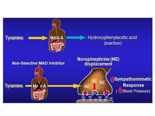 Monoamine Oxidase Inhibitors (MAOIs) | PDF