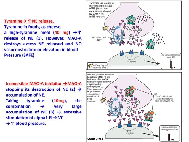 Monoamine Oxidase Inhibitors (MAOIs) | PDF