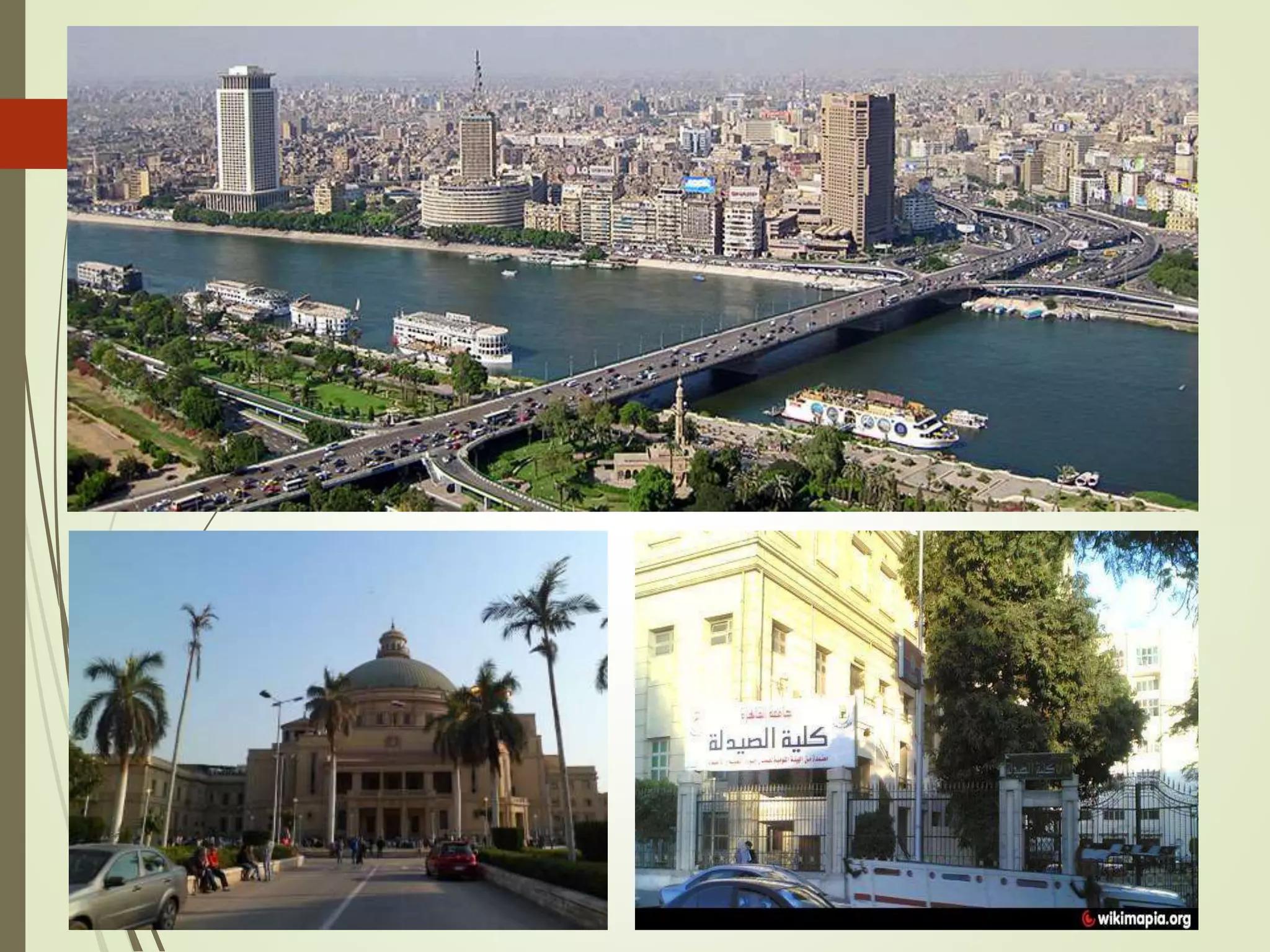 sawsan-mohamed-amer-cairo-university-egypt.pptx | Pharmaceutical Drugs ...