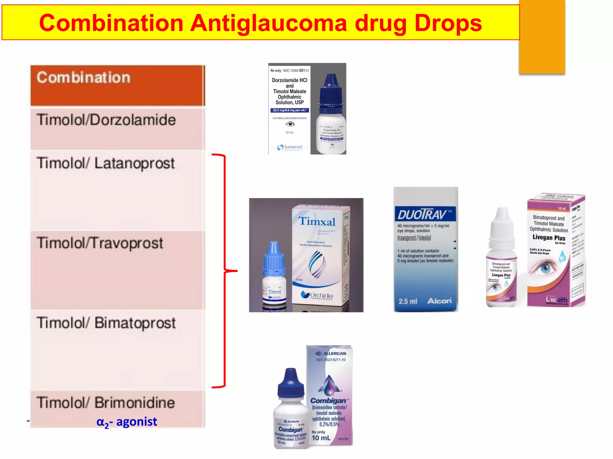 Drug Therapy of Glaucoma | PDF