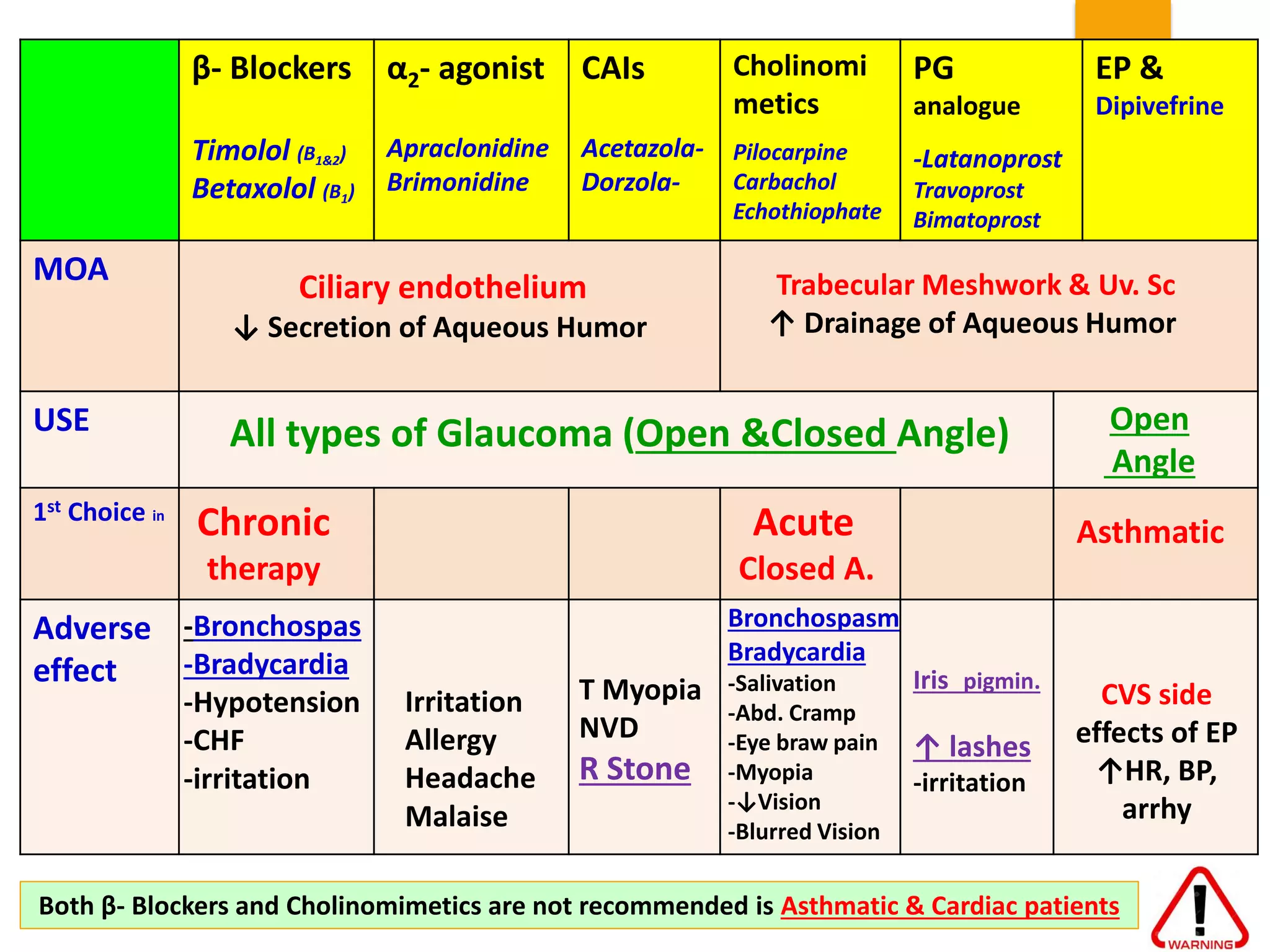 Drug Therapy of Glaucoma | PDF