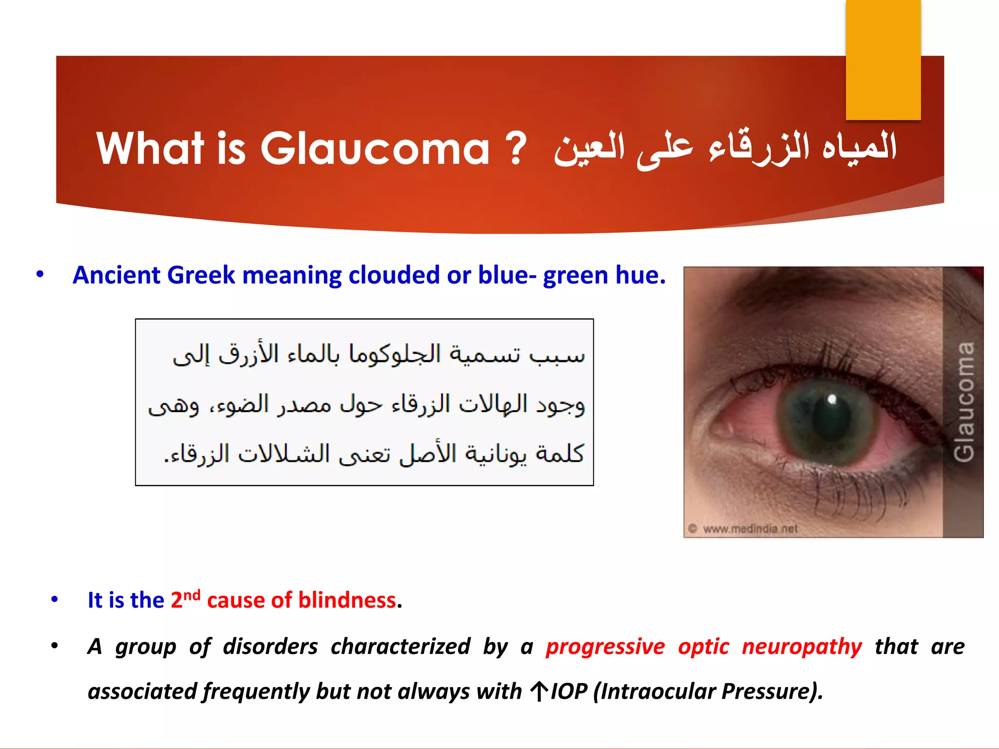 Drug Therapy of Glaucoma | PDF
