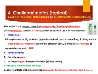 Drug Therapy of Glaucoma | PDF