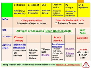 Drug Therapy of Glaucoma | PDF