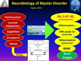 Bipolar Disorder Drugs: Pathophysiology, Mood Stabilizers ...