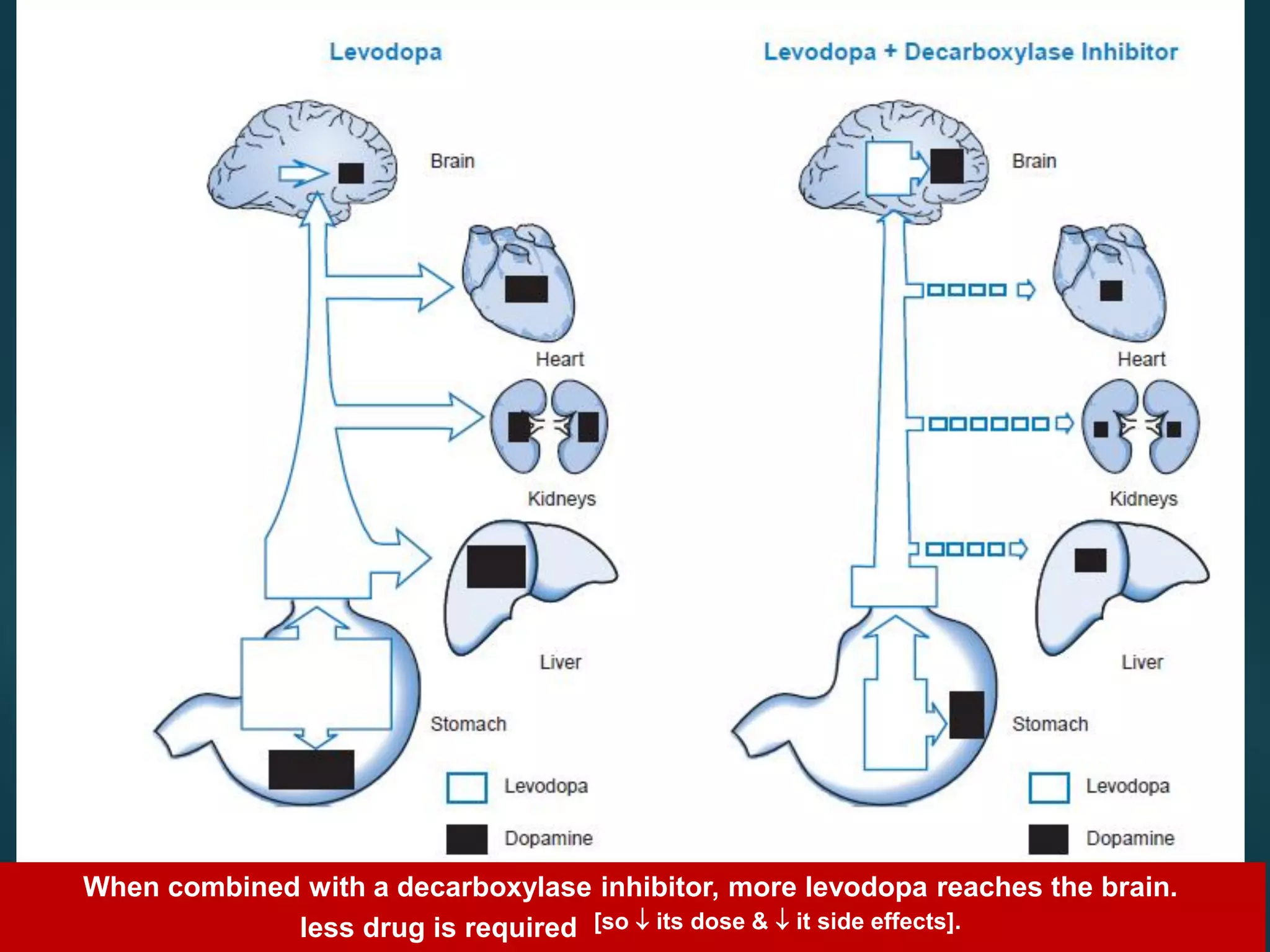 Levodopa in Parkinson's disease | PDF