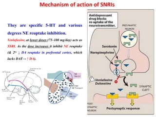 Serotonin Norepinephrine Reuptake Inhibitors (SNRIs) | PDF