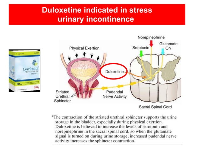 Serotonin Norepinephrine Reuptake Inhibitors (SNRIs) | PDF
