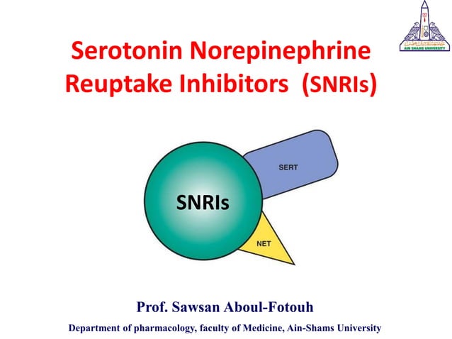 Serotonin and Norepinephrine Reuptake Inhibitors (SNRIs): Mechanisms ...