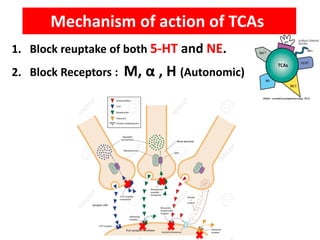 Tricyclic Antidepressants (TCAs) | PDF