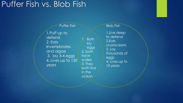 Blobfish | PPTX | Fish and Aquariums | Pets