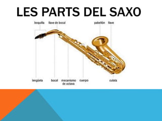 Saxo | PPT