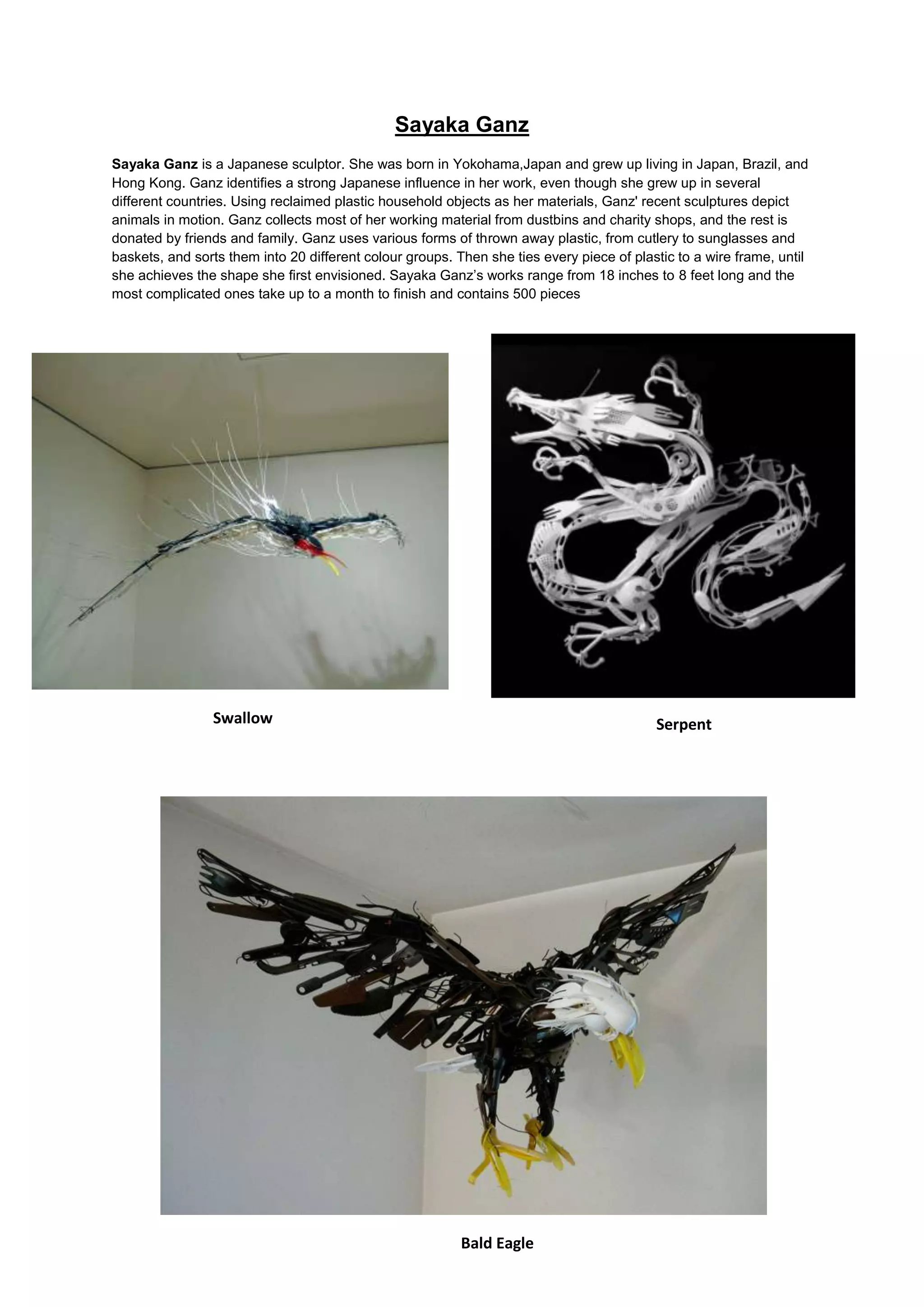 Sayaka ganz 3 d | PDF