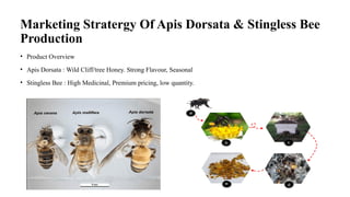 Marketing strategy for honey bee use of different marketing strategy | PPTX