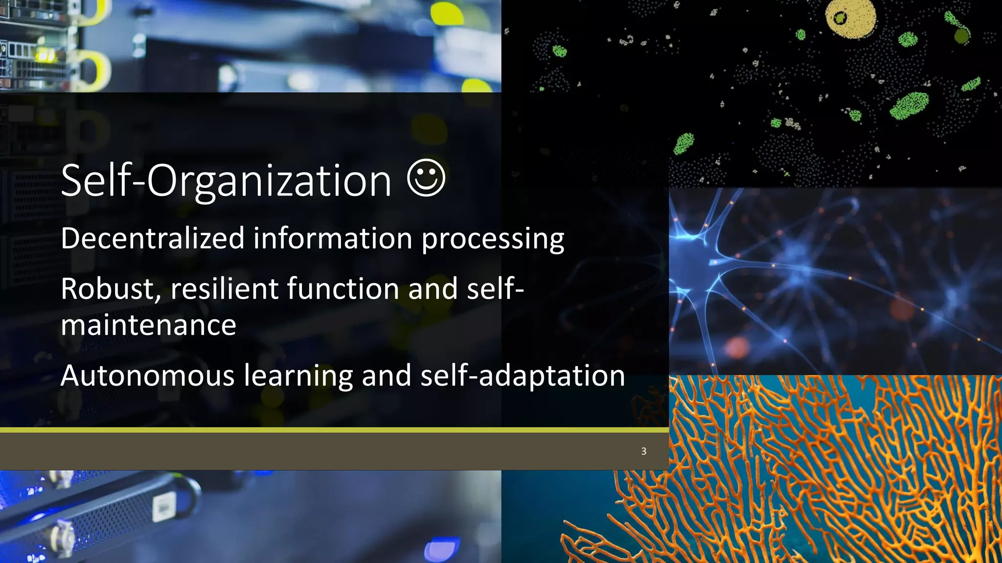 Self-organization of society: fragmentation, disagreement, and how to ...