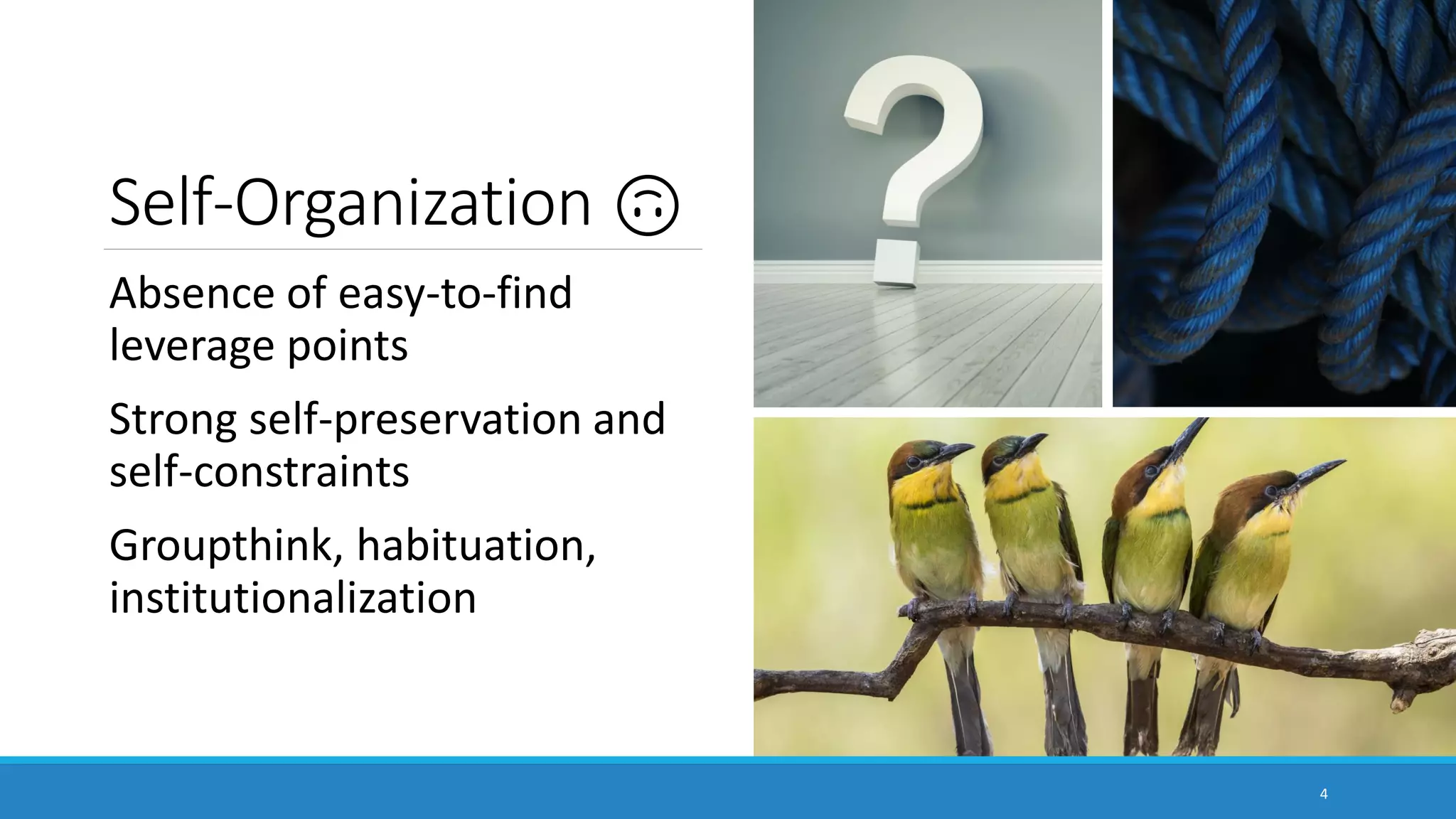 Self-organization of society: fragmentation, disagreement, and how to ...