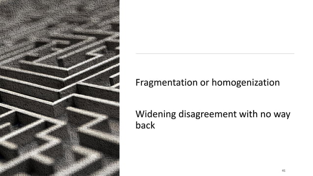 Self-organization of society: fragmentation, disagreement, and how to ...
