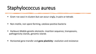Staphylococcus.pptx