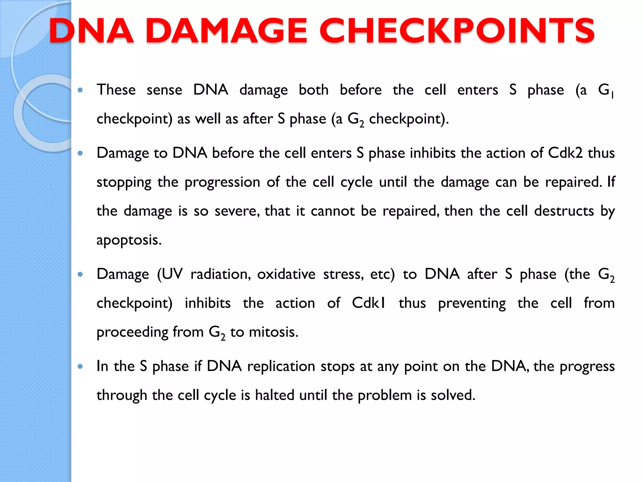 cell cycle and its check points and regulation | PPTX