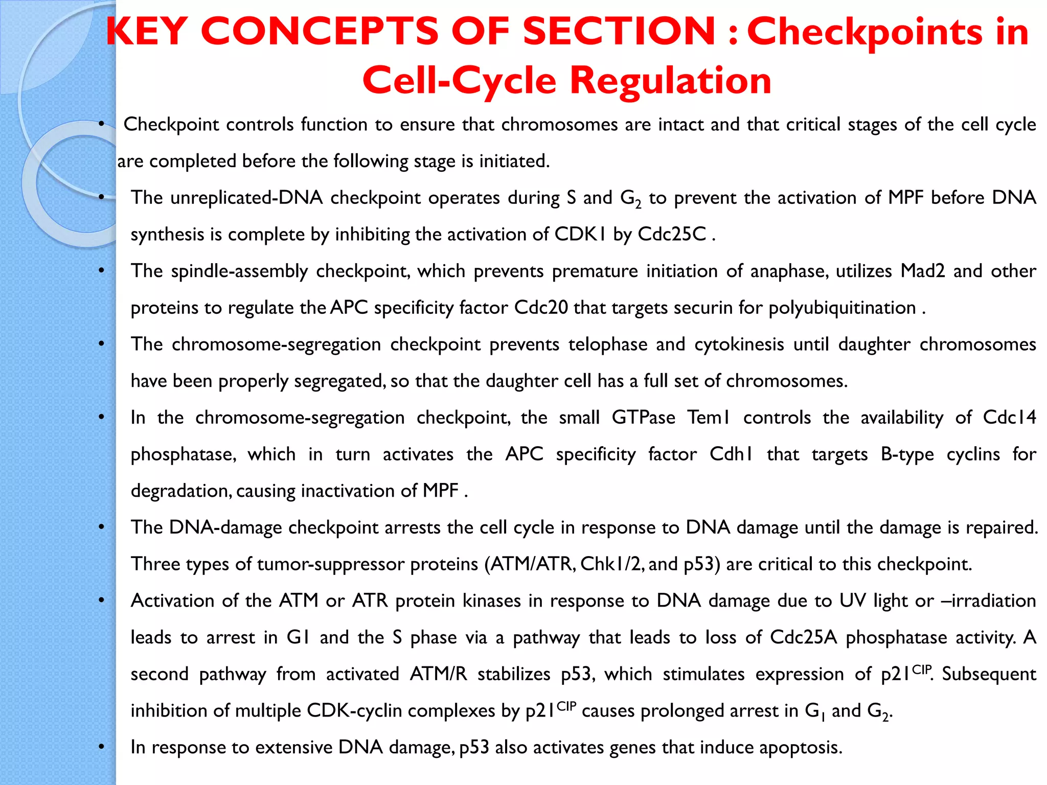 cell cycle and its check points and regulation | PPTX
