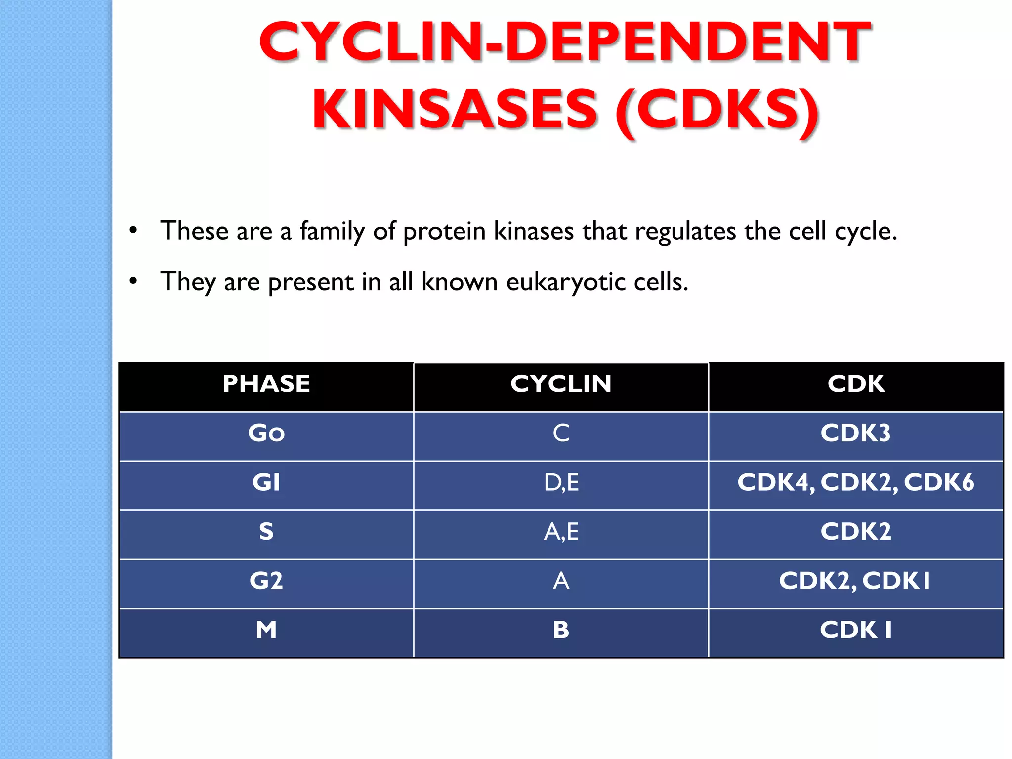 cell cycle and its check points and regulation | PPTX