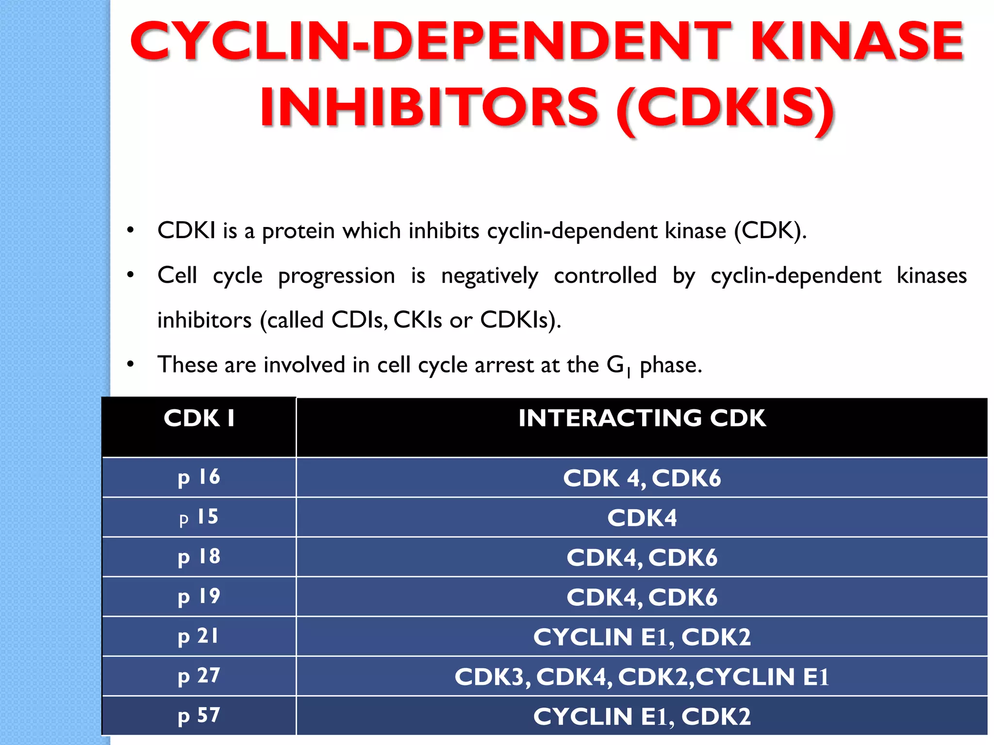 cell cycle and its check points and regulation | PPTX