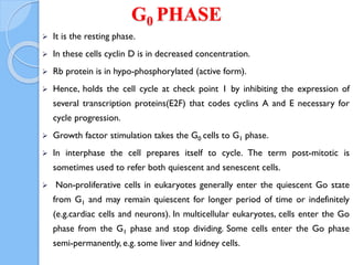 Phase G0 Cell Enters What