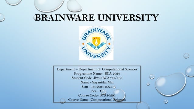 Brainware University PPT (Bachilor Of Computer Applications) | PPT