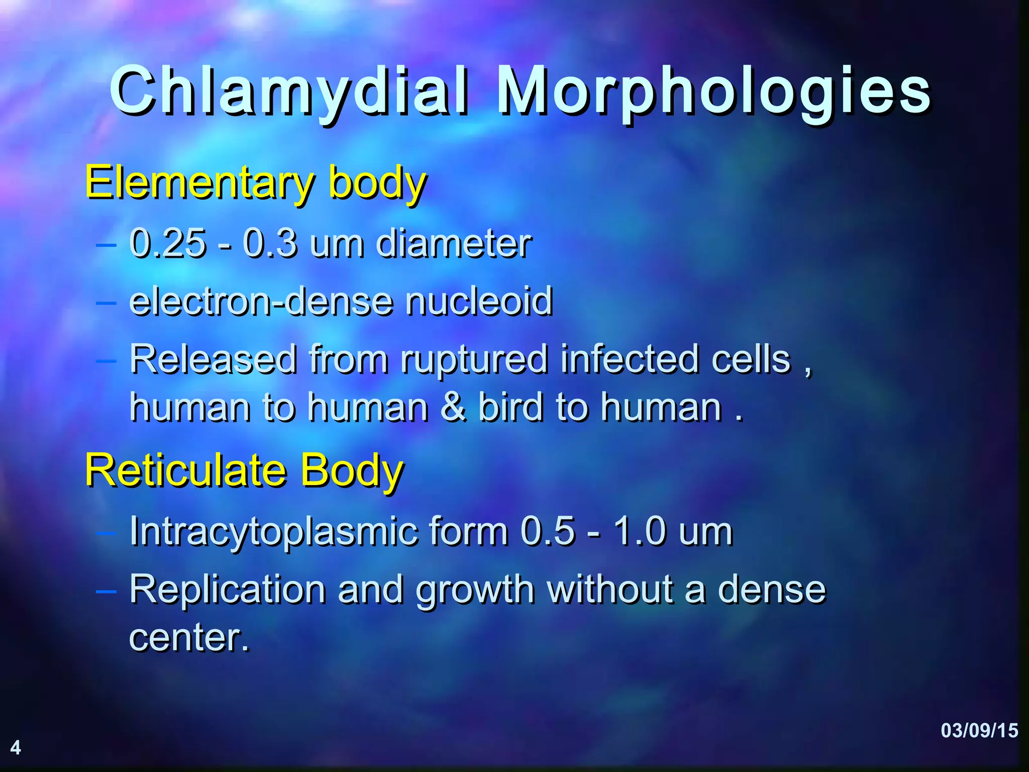Chlamydia ; bacterial genus | PPT