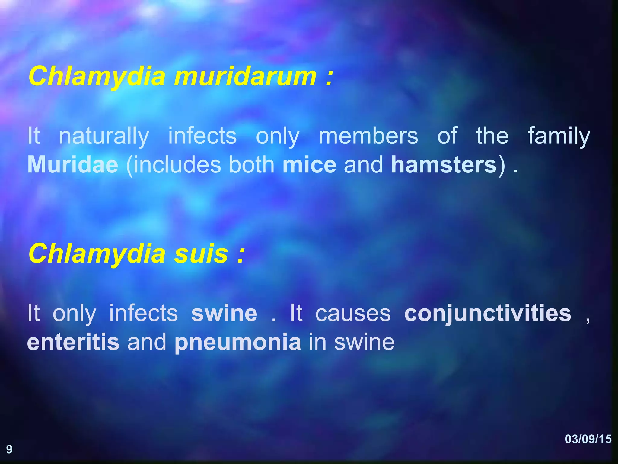 Chlamydia ; bacterial genus | PPT